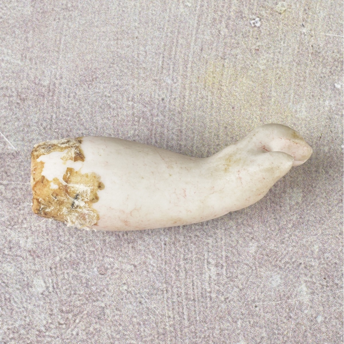 Collection of Antique Dolls | Kodner Auctions